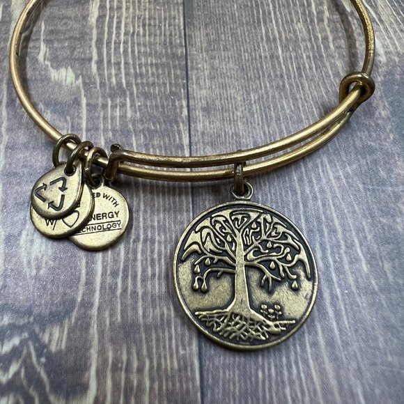 Alex and Ani | Jewelry | Alex And Ani Tree Of Life Bangle Bracelet ...